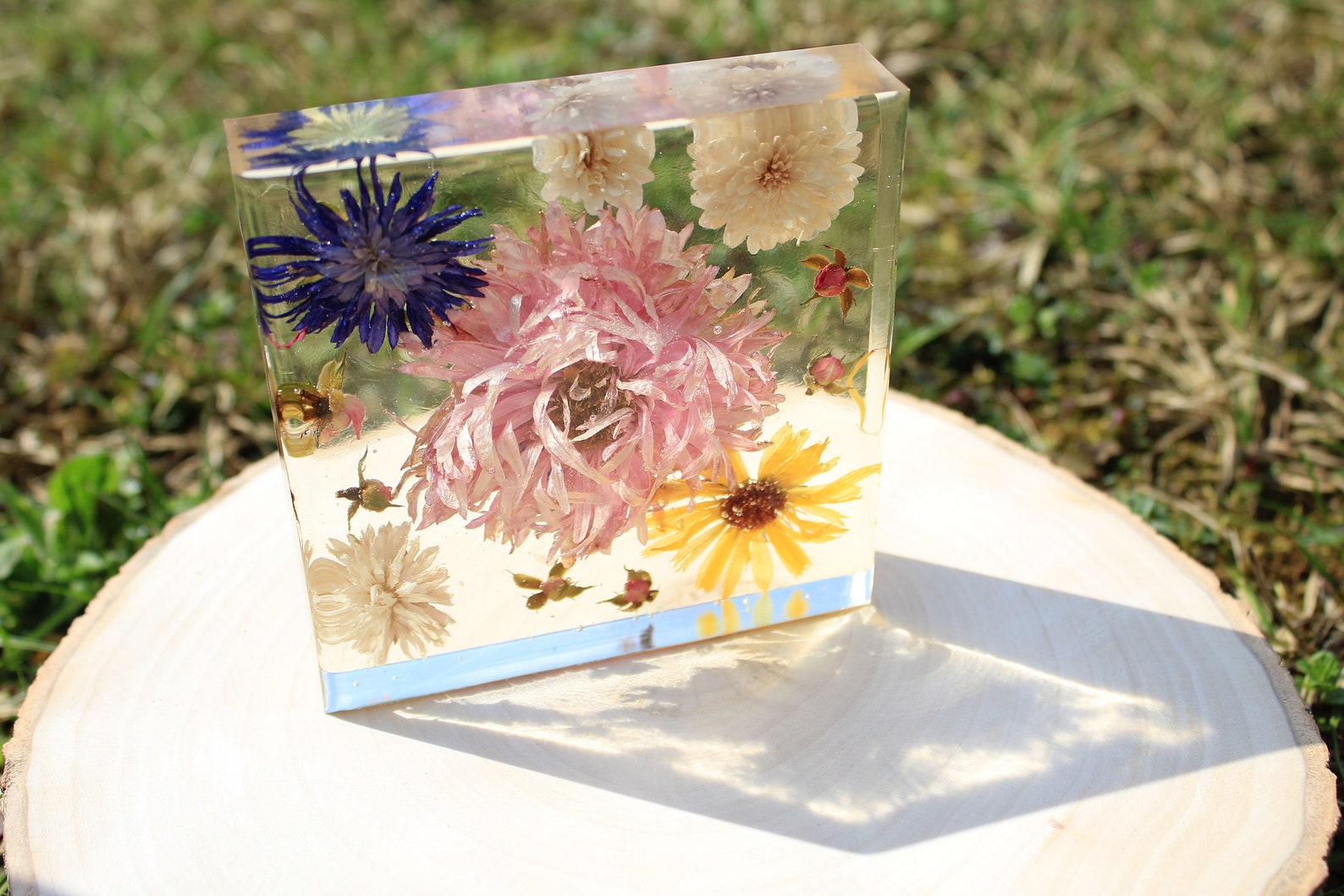 Real Preserved Flowers in Resin, Rose, Asters, Calendula in Resin ...