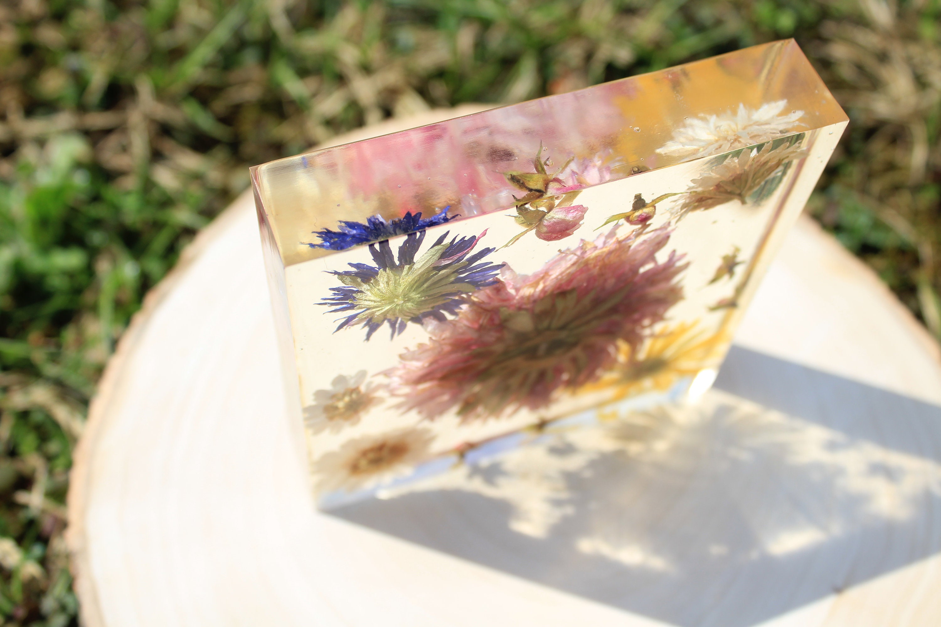 Real Preserved Flowers in Resin, Rose, Asters, Calendula in Resin ...