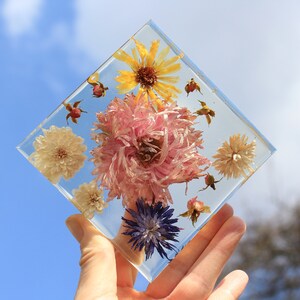 Real Preserved Flowers in Resin, Rose, Asters, Calendula in Resin ...