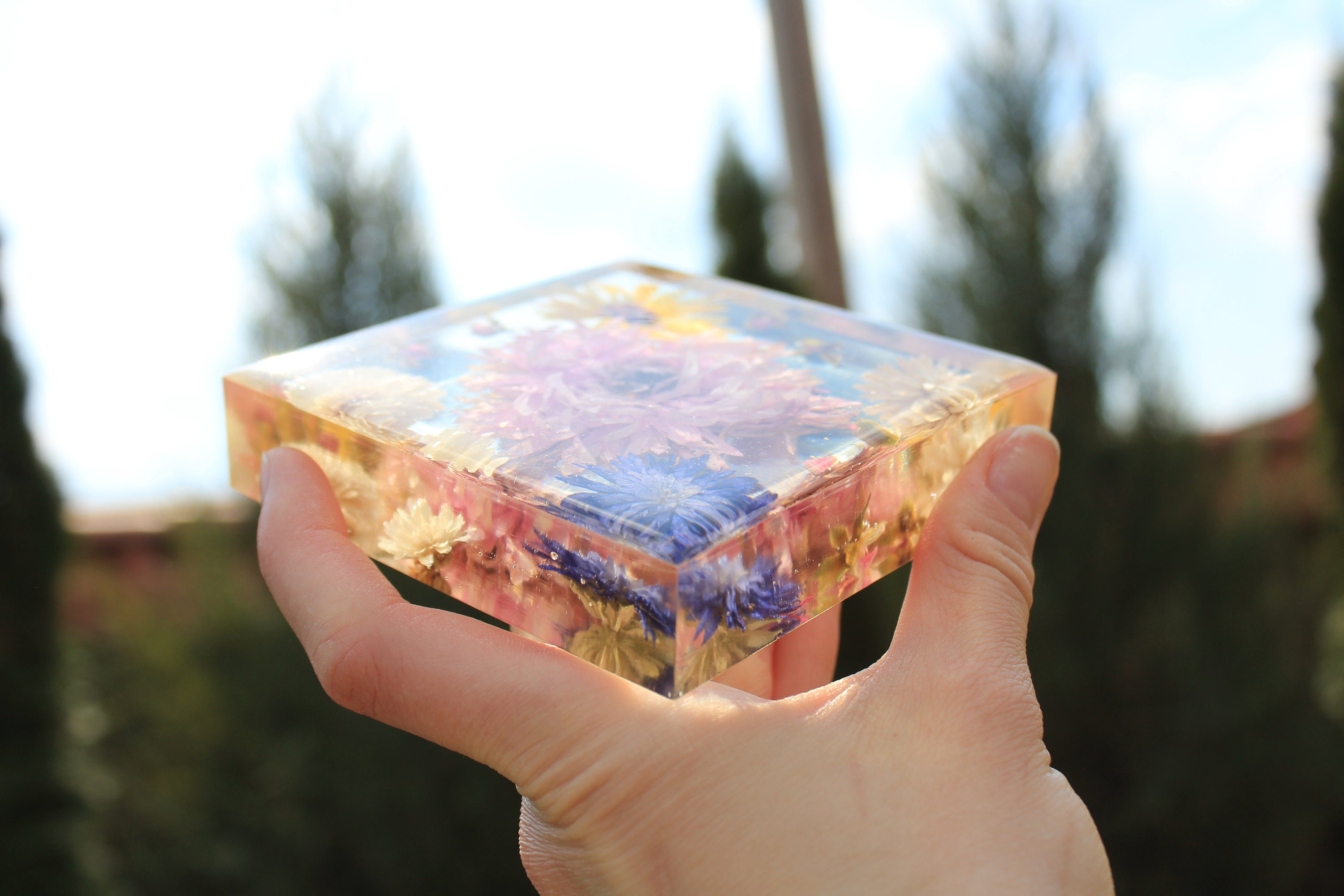 Real Preserved Flowers in Resin, Rose, Asters, Calendula in Resin ...