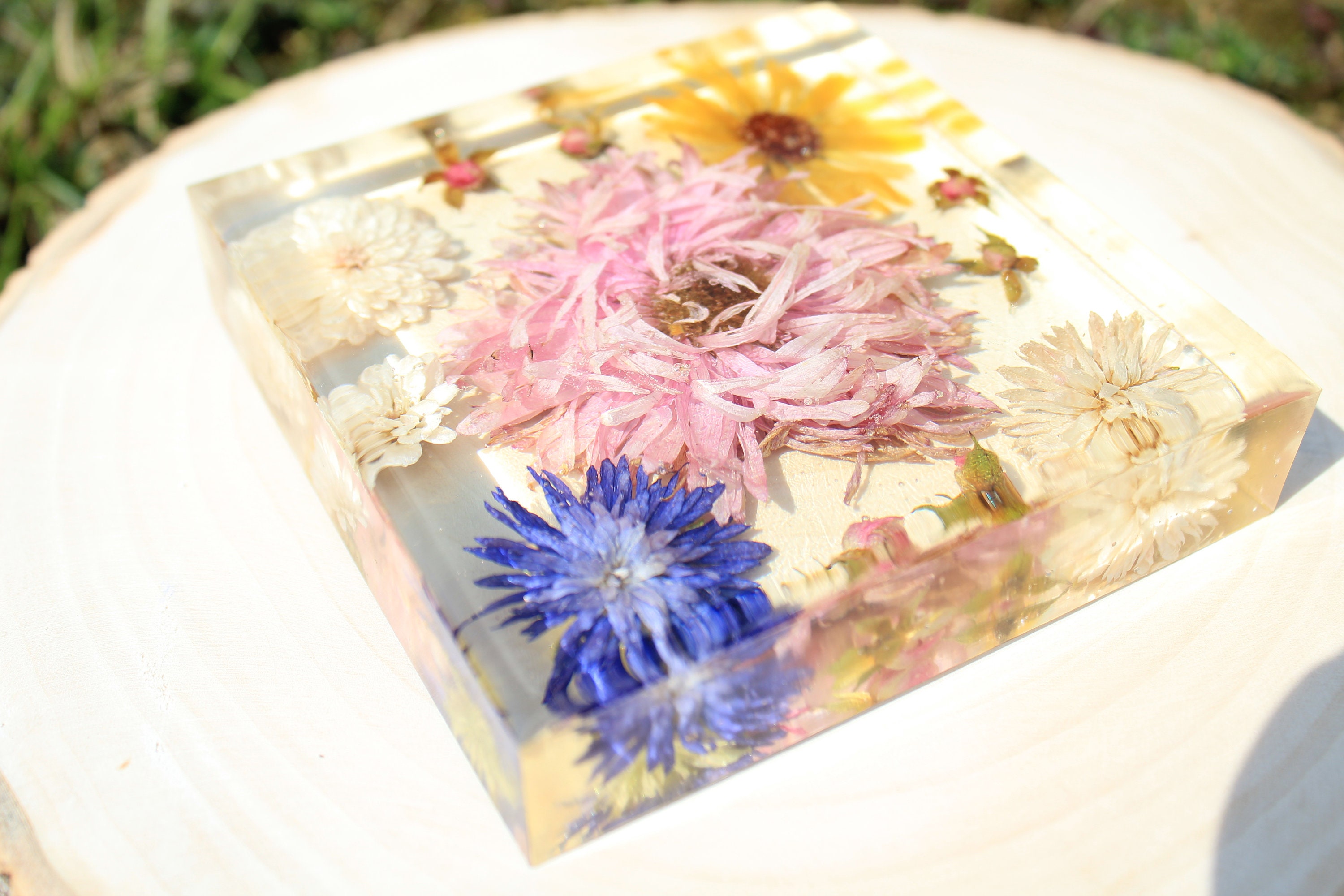 Real Preserved Flowers in Resin, Rose, Asters, Calendula in Resin ...