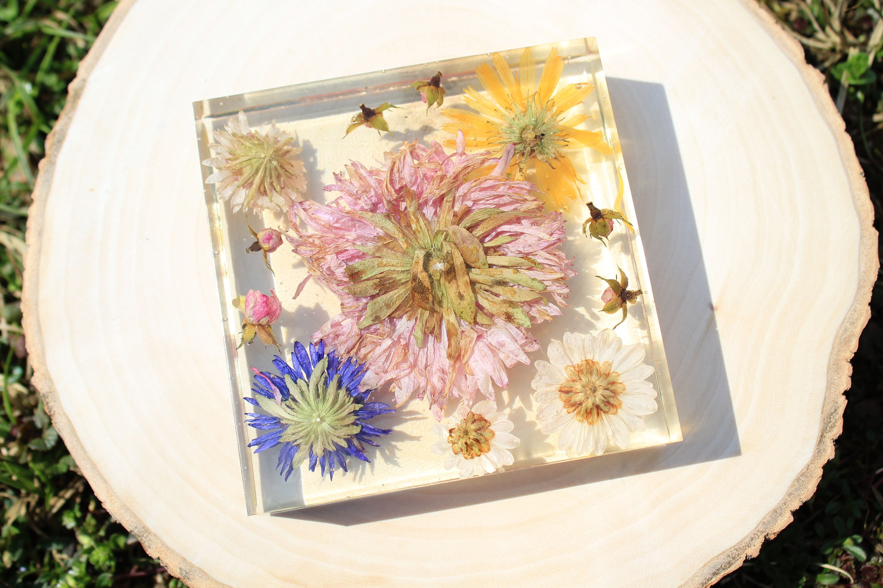 Real Preserved Flowers in Resin, Rose, Asters, Calendula in Resin ...