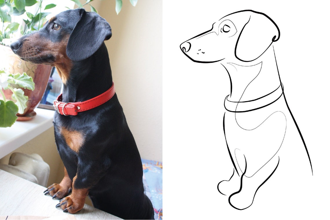Custom Dog Portrait,custom Cat Portrait,one Line Pet Art,custom Dog ...