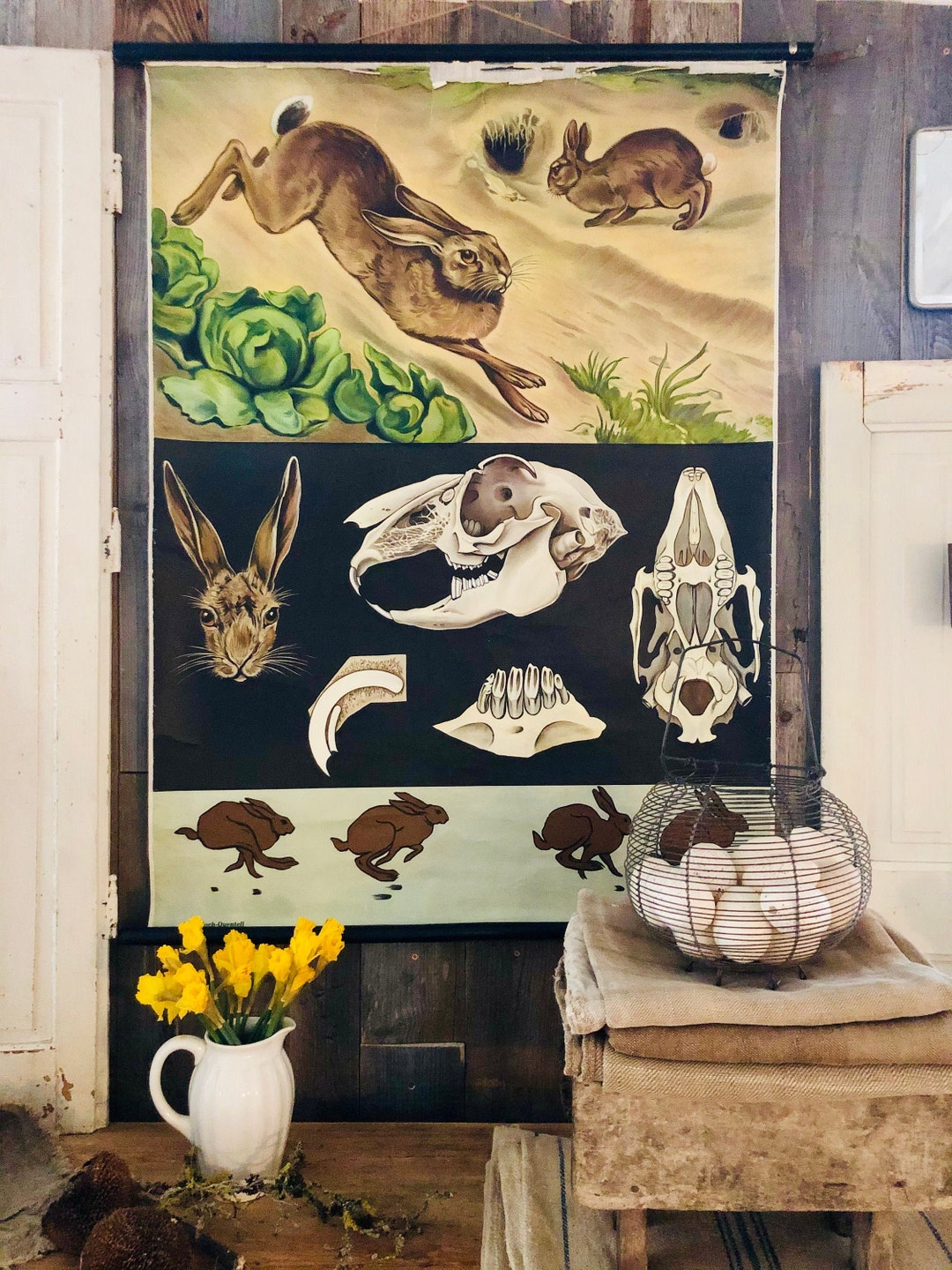 Antique School Scroll hare Shabby Chic - Etsy