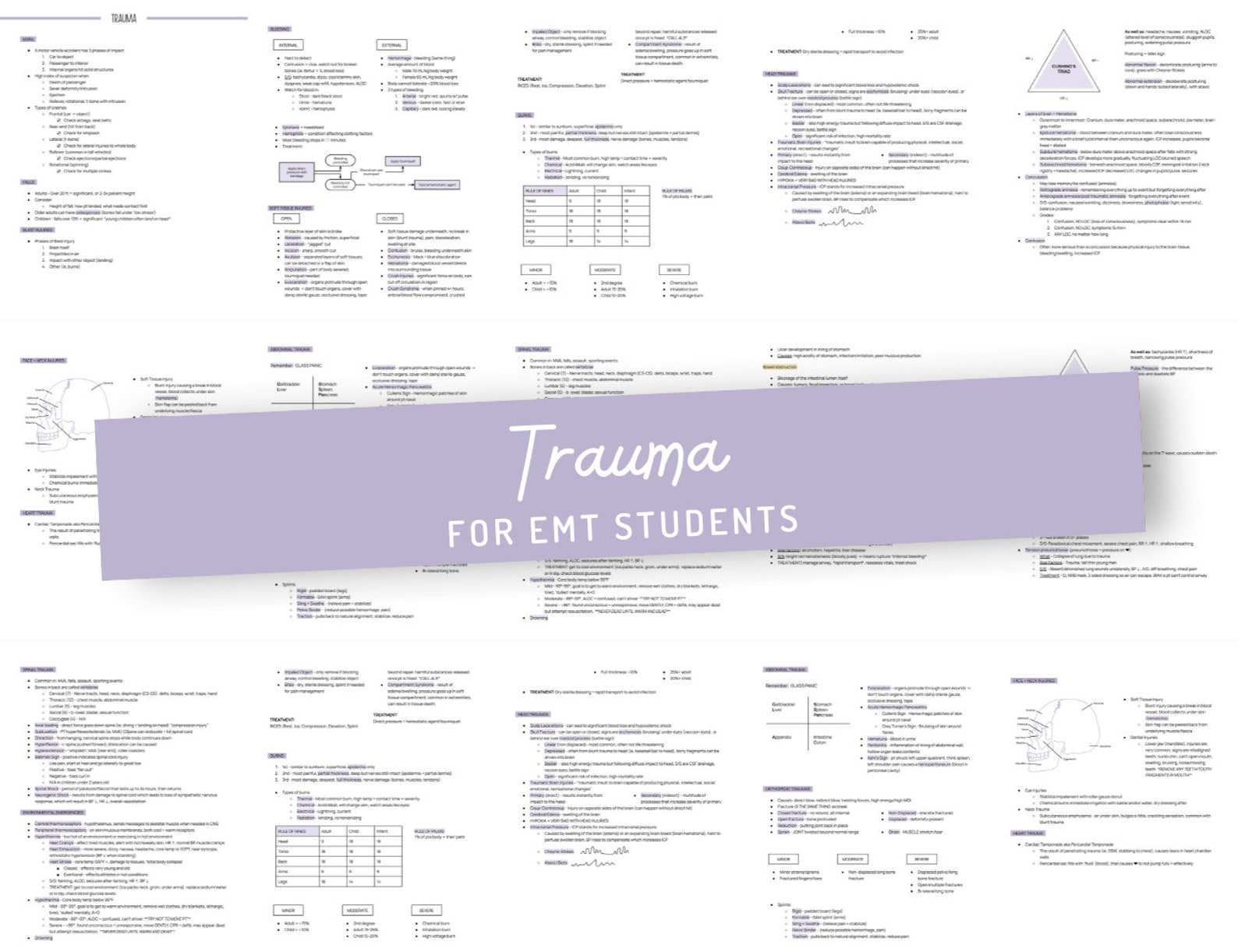 Trauma - EMS Study Guide, the Perfect Study Guide for EMT School, Study ...