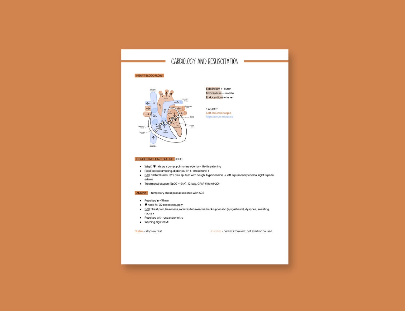 Cardiology & Resuscitation EMS Study Guide the Perfect - Etsy