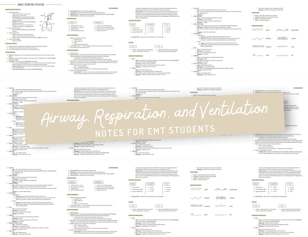 Airway, Respiration, and Ventilation - EMS Study Guide, the Perfect ...
