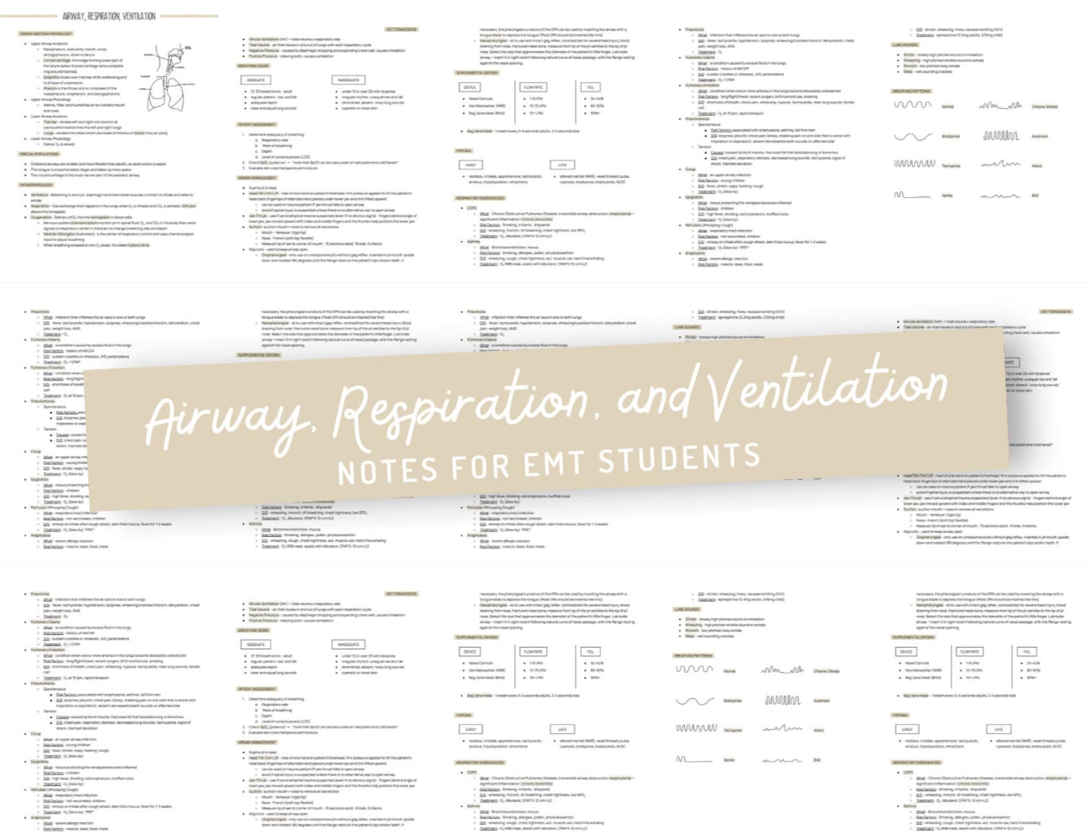 Airway, Respiration, and Ventilation EMS Study Guide, the Perfect Study ...