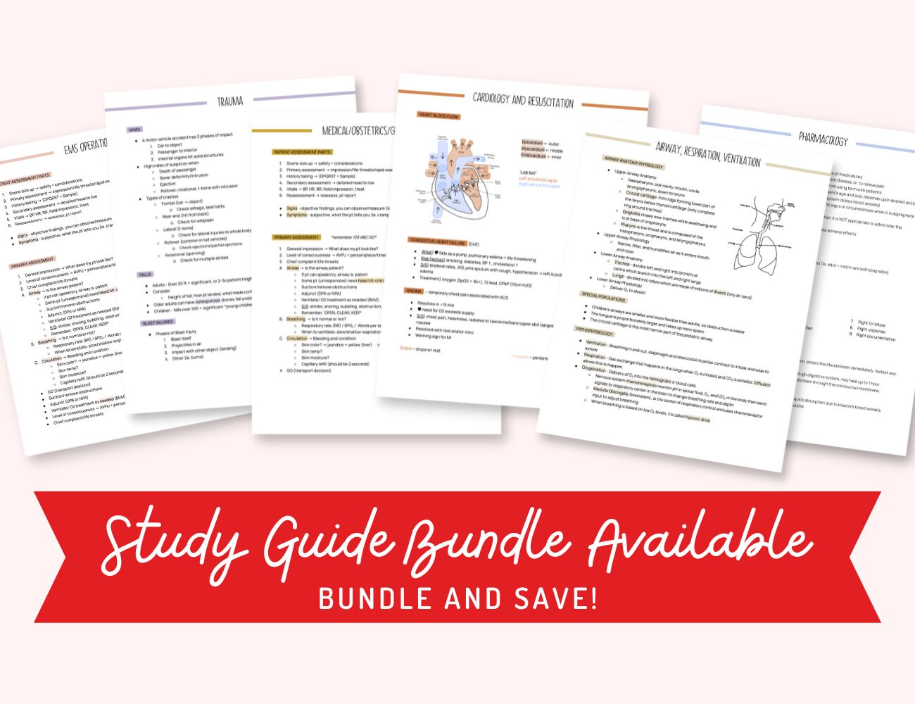 Airway, Respiration, and Ventilation EMS Study Guide, the Perfect Study ...