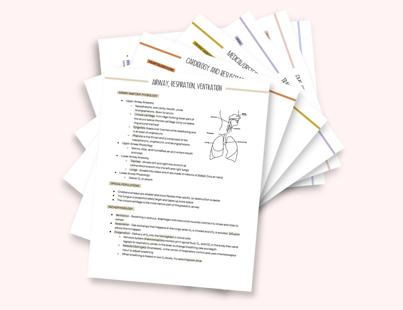 The NREMT Study Guide, the Perfect Study Guide for EMT School, Study ...