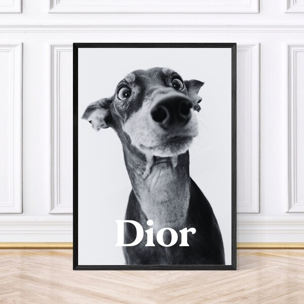 Chanel Dog - Etsy