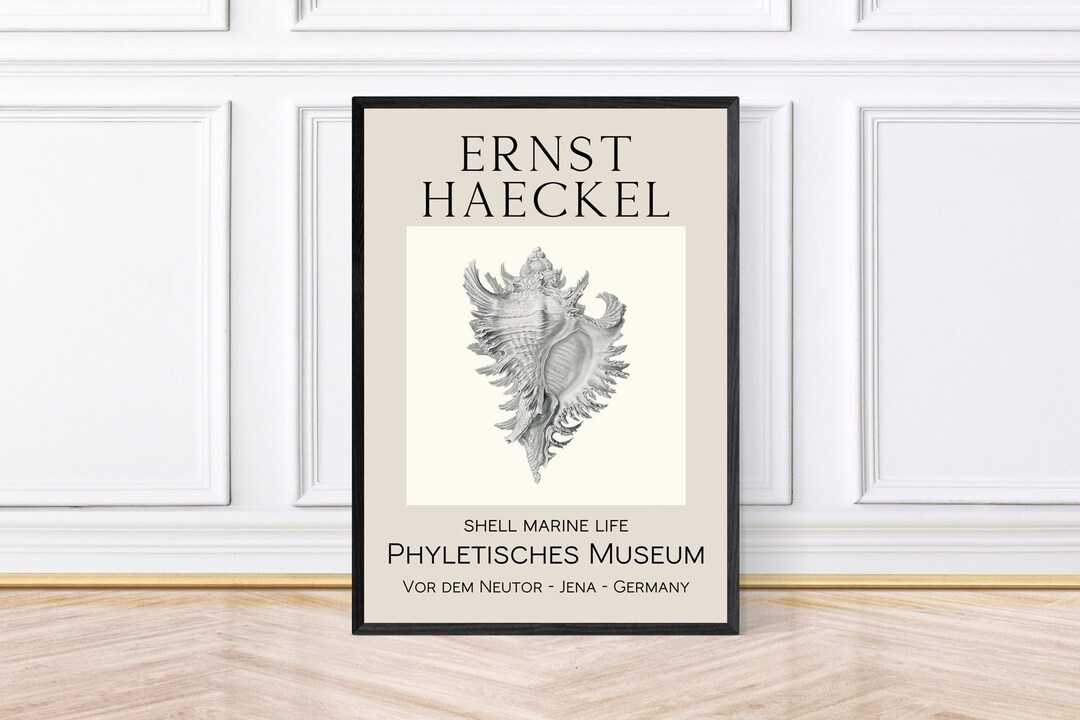 Ernst Haeckel Print, Shell Marine Life Wall Art, Vintage Kitchen Decor ...