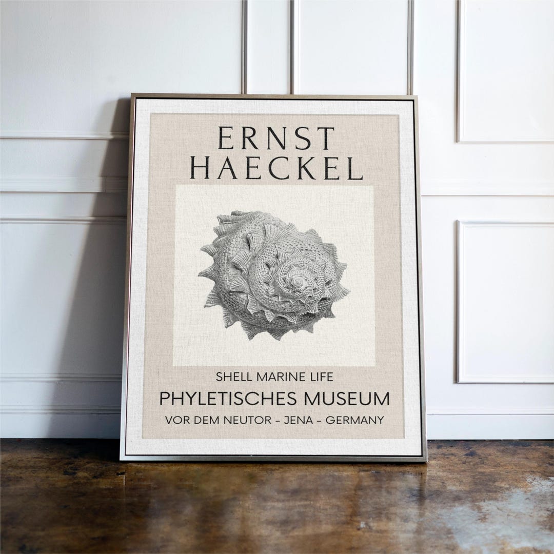 Ernst Haeckel Print, Shell Marine Life Wall Art, Vintage Kitchen Decor ...