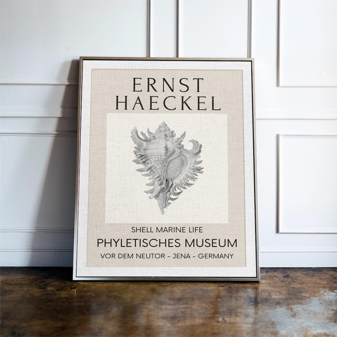 Ernst Haeckel Print, Shell Marine Life Wall Art, Vintage Kitchen Decor ...