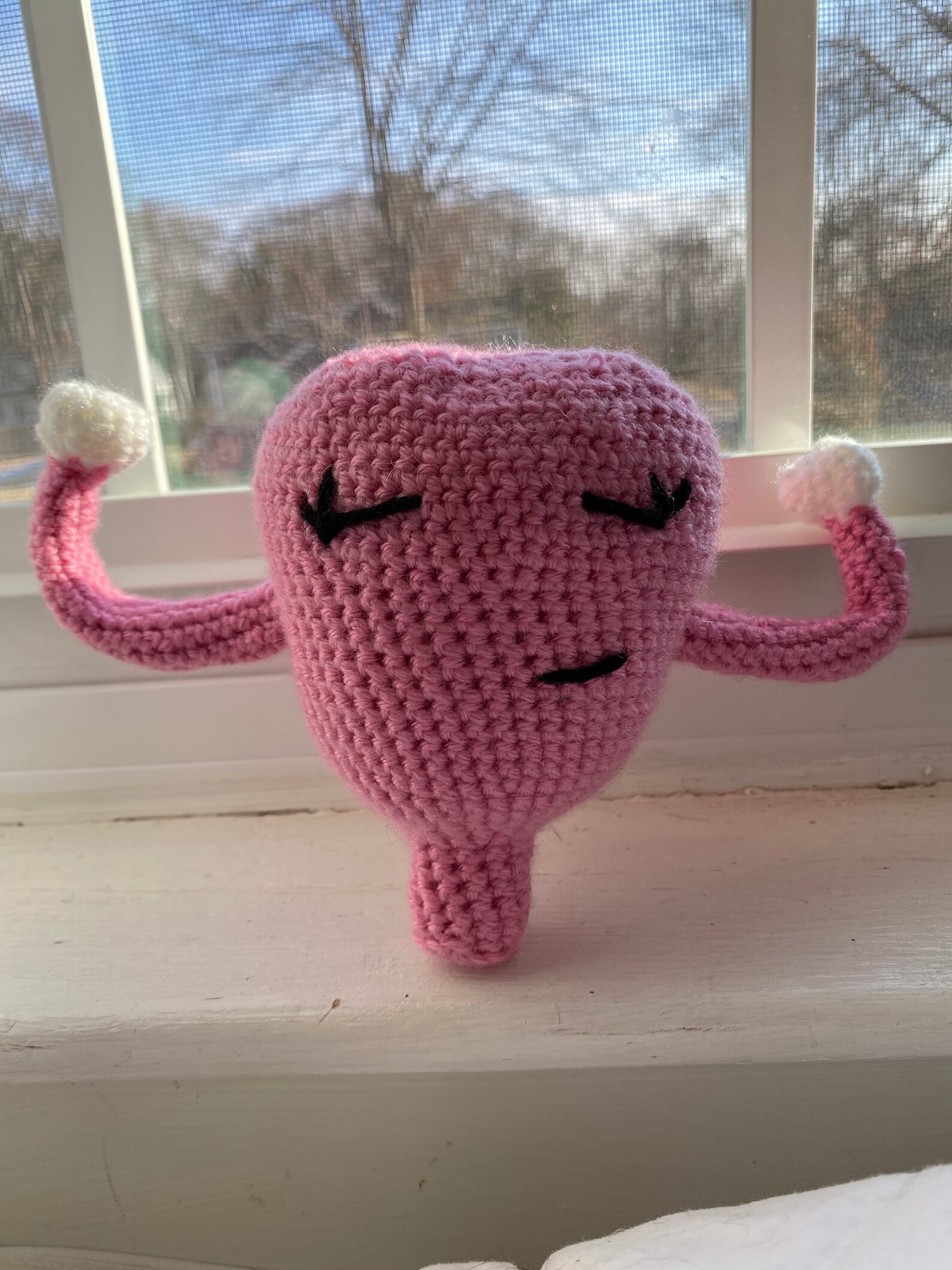 Crochet Uterus - Etsy