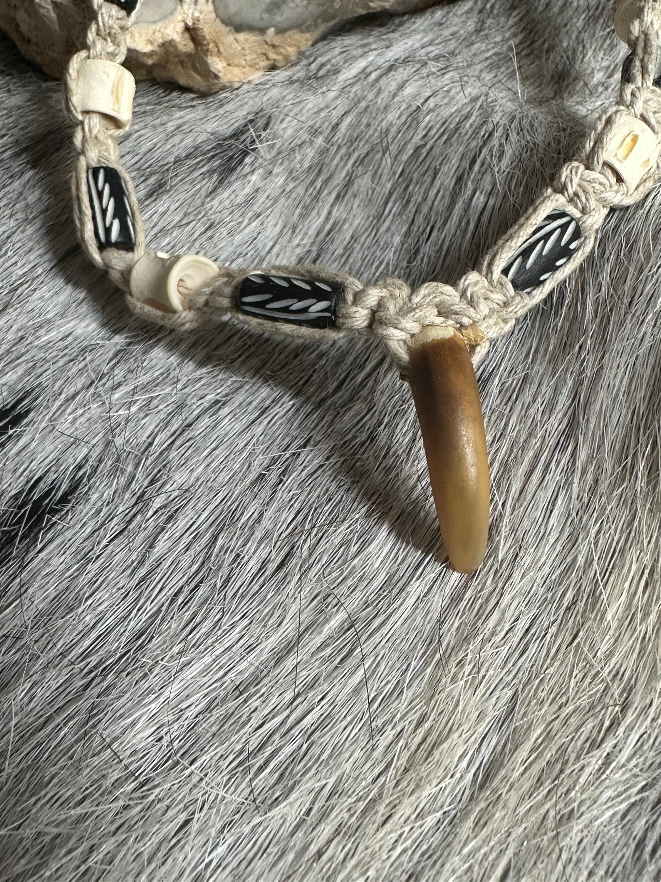 Real Snapping Turtle Claw With Fish Bone Beads and Batik Bone Trade ...