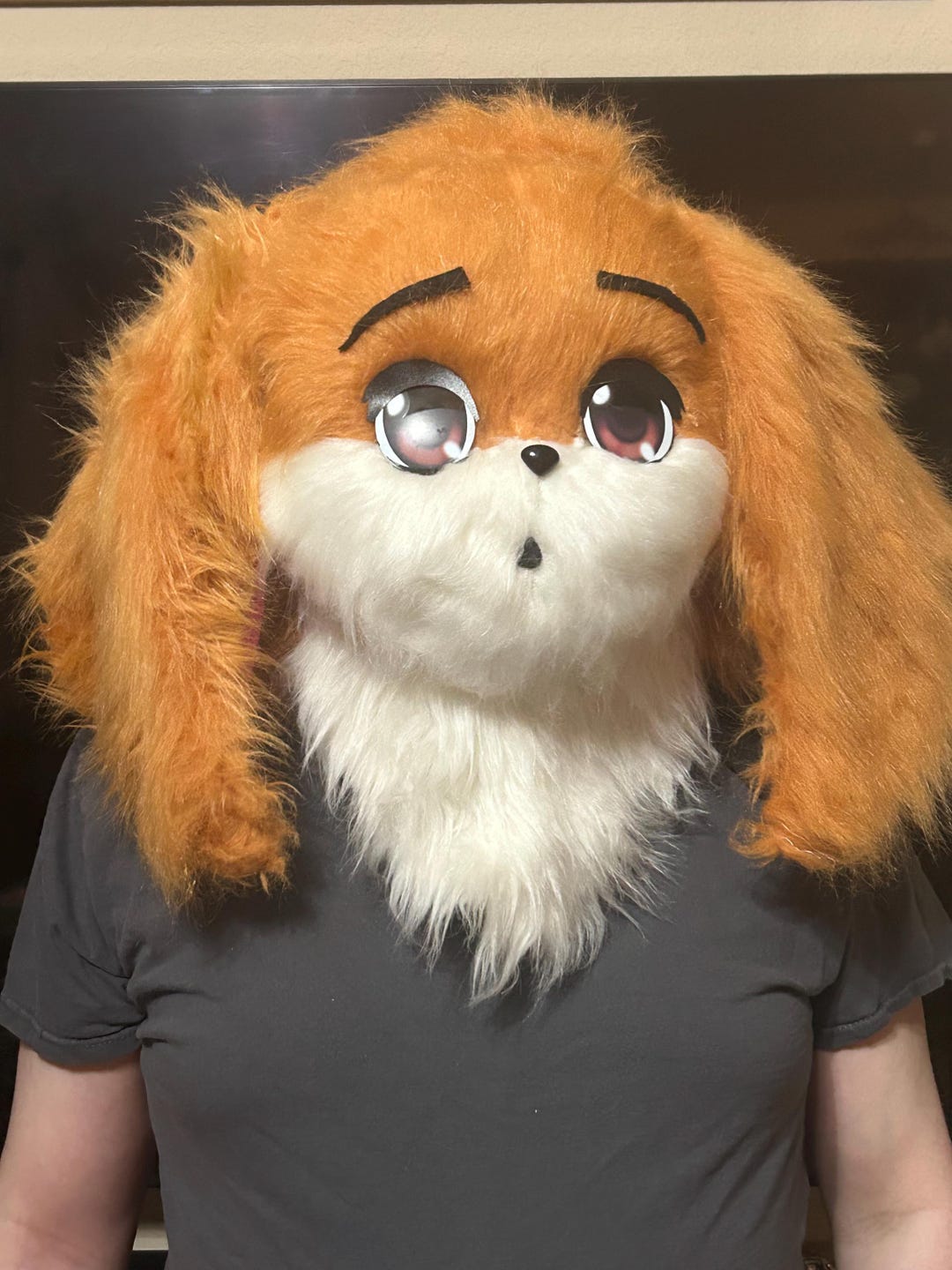 Kigurumi Style Mobian Fursuit Head - Etsy