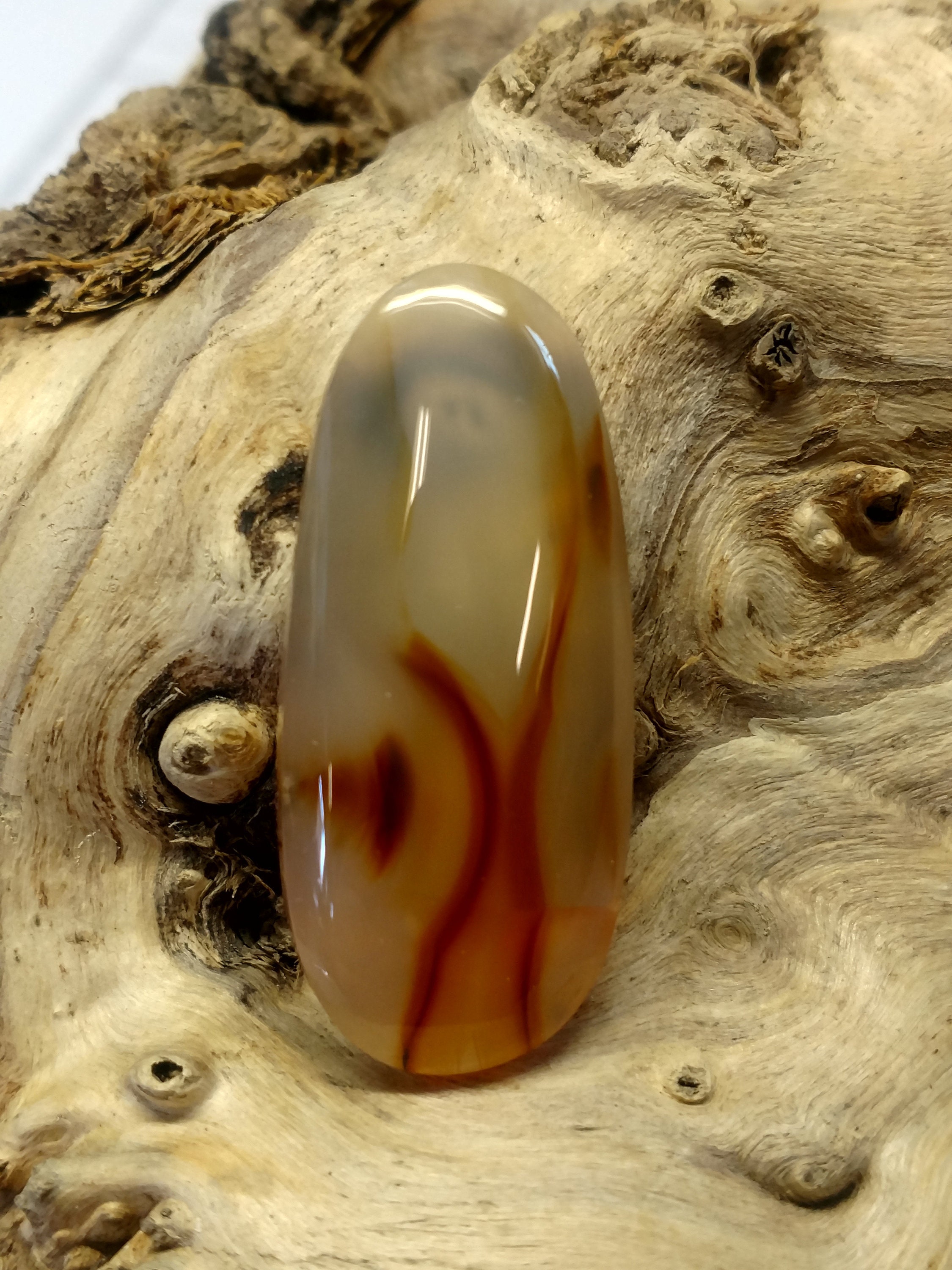 Montana Moss Agate Cabochon - Etsy