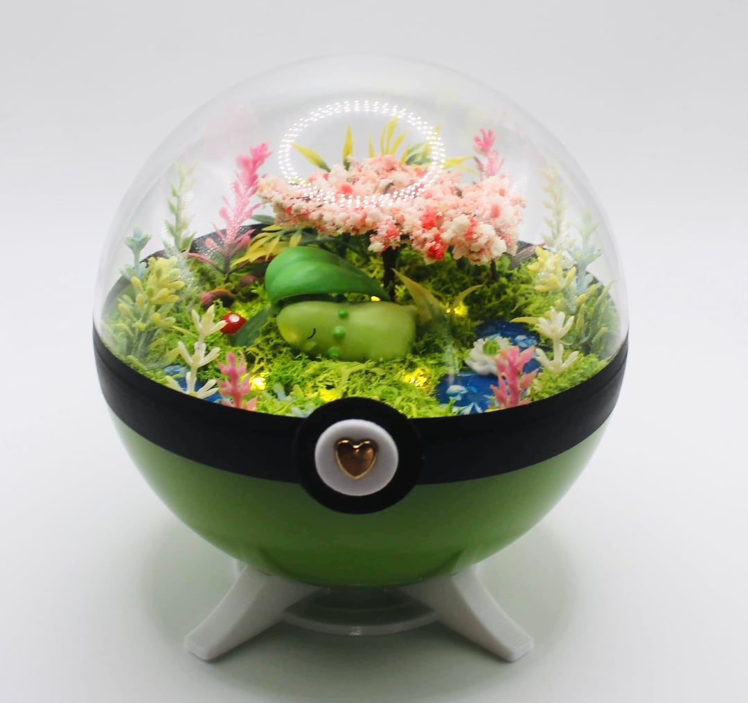 Pokeball Terrarium Germignon / Chikorita - Etsy