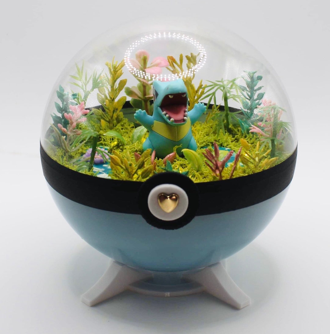Pokeball Terrarium Kaiminus / Totodile - Etsy