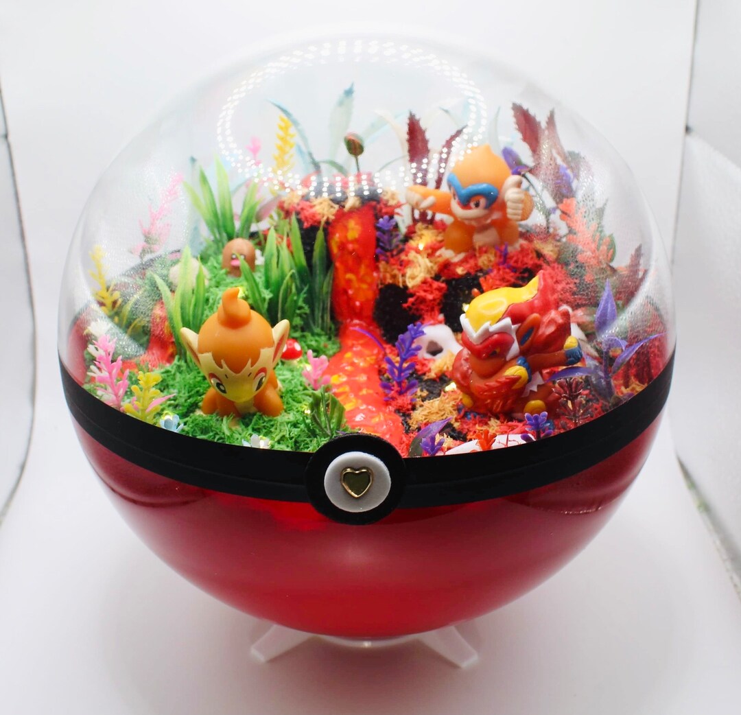 Pokeball Terrarium Marmoset, Chimpenfeu and Simiabraz / Chimchar ...