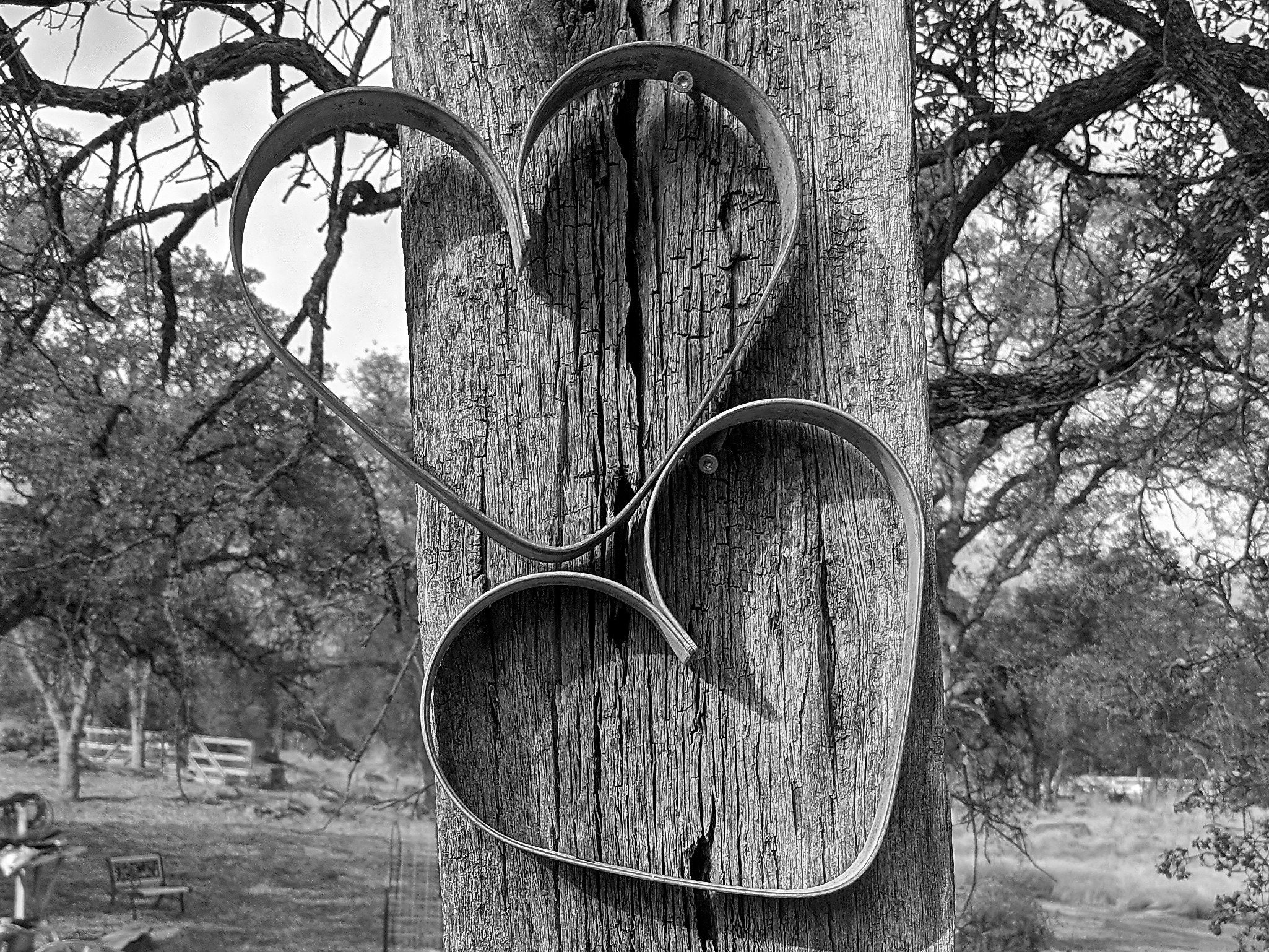 Wine Barrel Hoop Heart Pair Valentine's Gift Romantic - Etsy