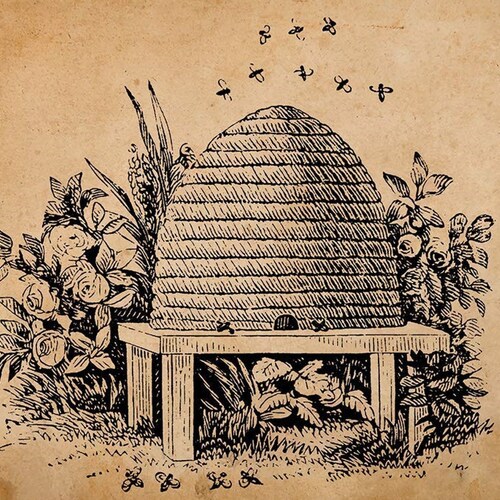 Vintage Beehive Beehive Art Beehive Print Apiary - Etsy