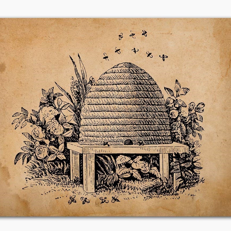 Vintage Bee Print - Etsy