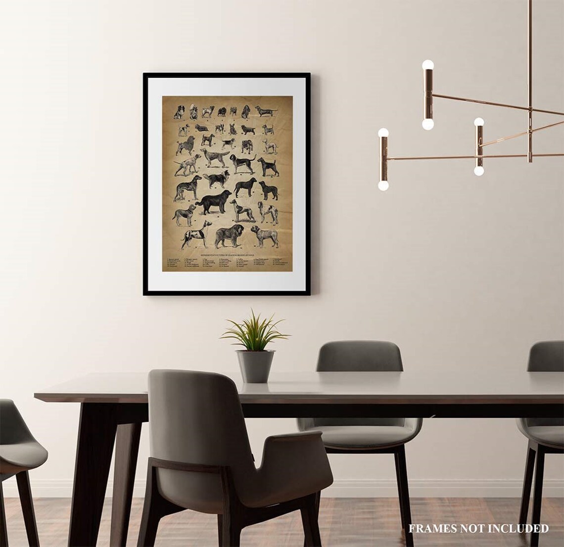 Dog Breeds Poster Canine Design Dog Types Dog Sketch Art - Etsy