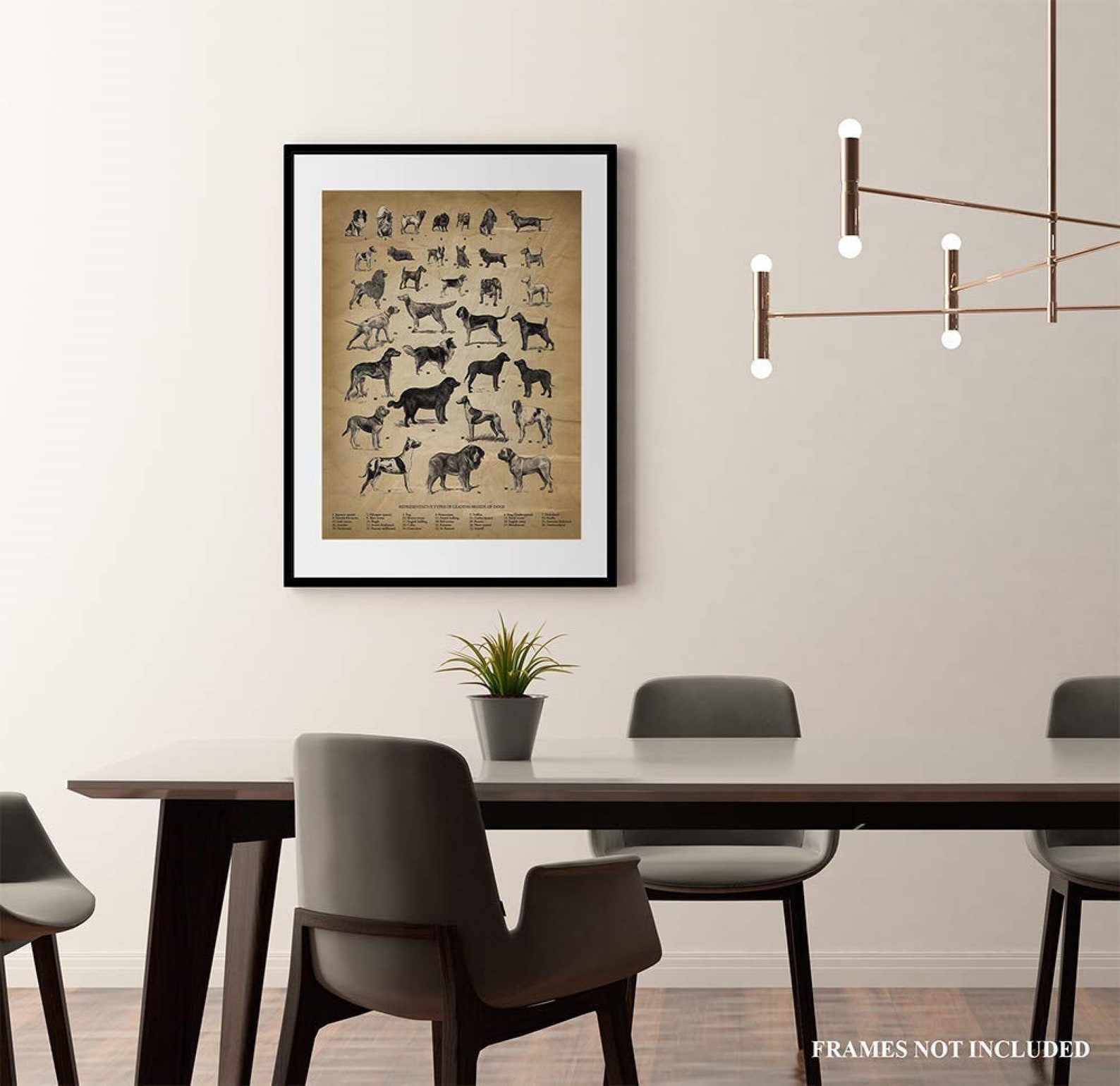 Dog Breeds Poster Canine Design Dog Types Dog Sketch Art - Etsy