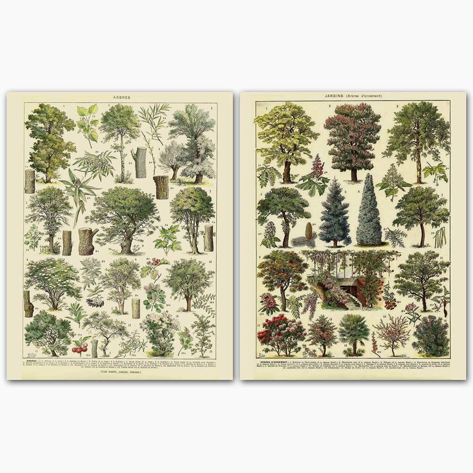 Botanical Print Sets Nature Inspired Art Vintage Botanical Poster Tree ...