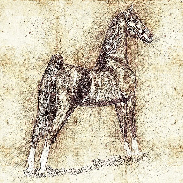 Saddlebred Horse - Etsy