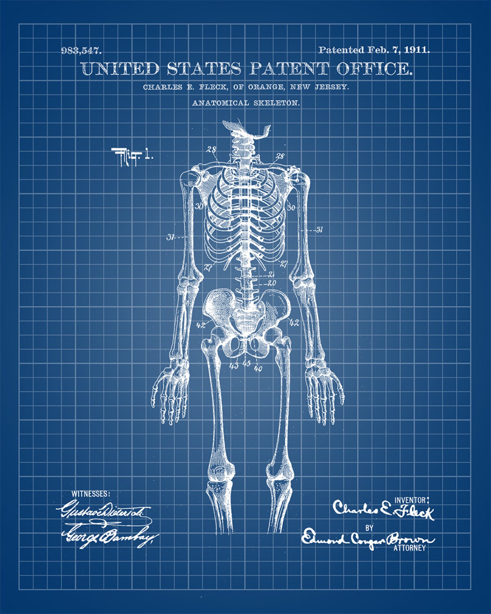 Skeleton Patent human Skeleton anatomy Art Print anatomy - Etsy