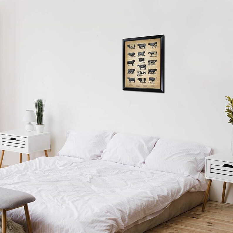 Cow Wall Art Cow Poster Cow Breeds Chart Vintage Cattle - Etsy