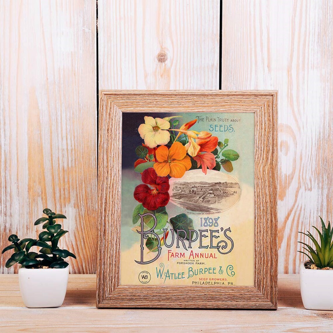 Vintage Seed Catalog Burpees Seeds Burpees Poster Burpee Seeds Print ...
