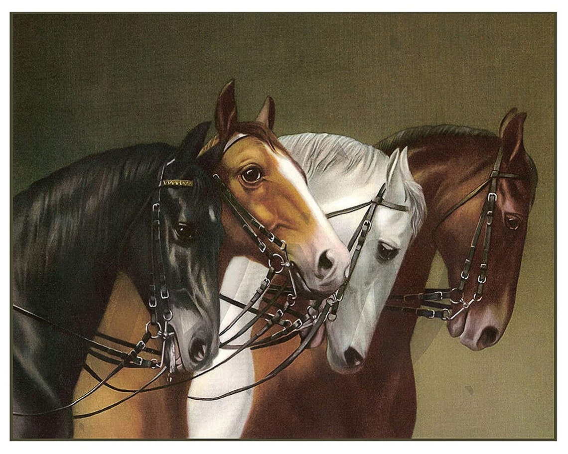 Horse Poster Horse Breeds Print Equestrian Decor equine Art Print ...