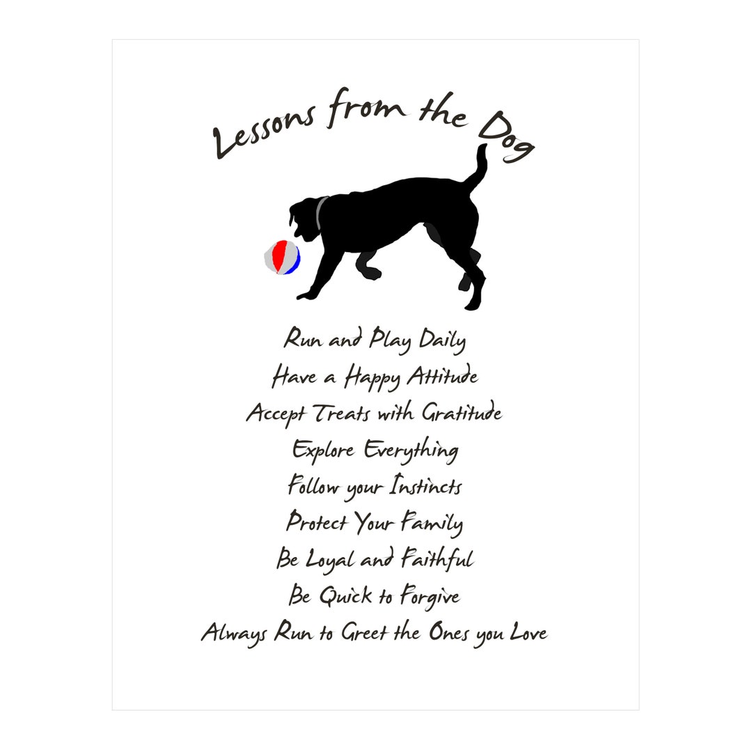 Lessons From A Dog dog Quote Print dog Sayings life Lessons quotes ...