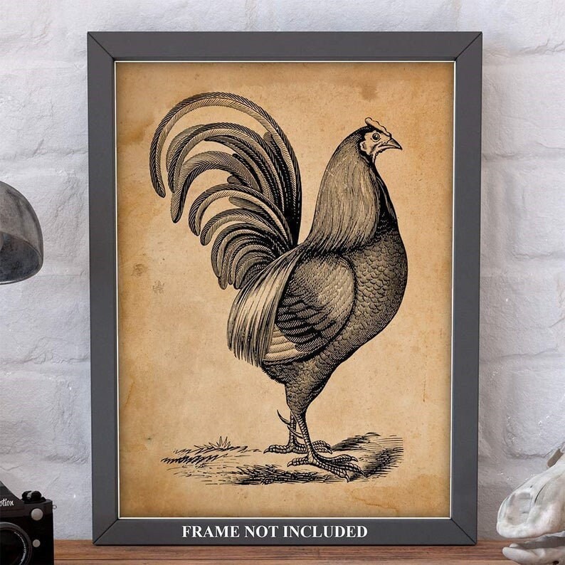 Rooster Poster Rooster Drawing Chicken Artwork Rooster | Etsy