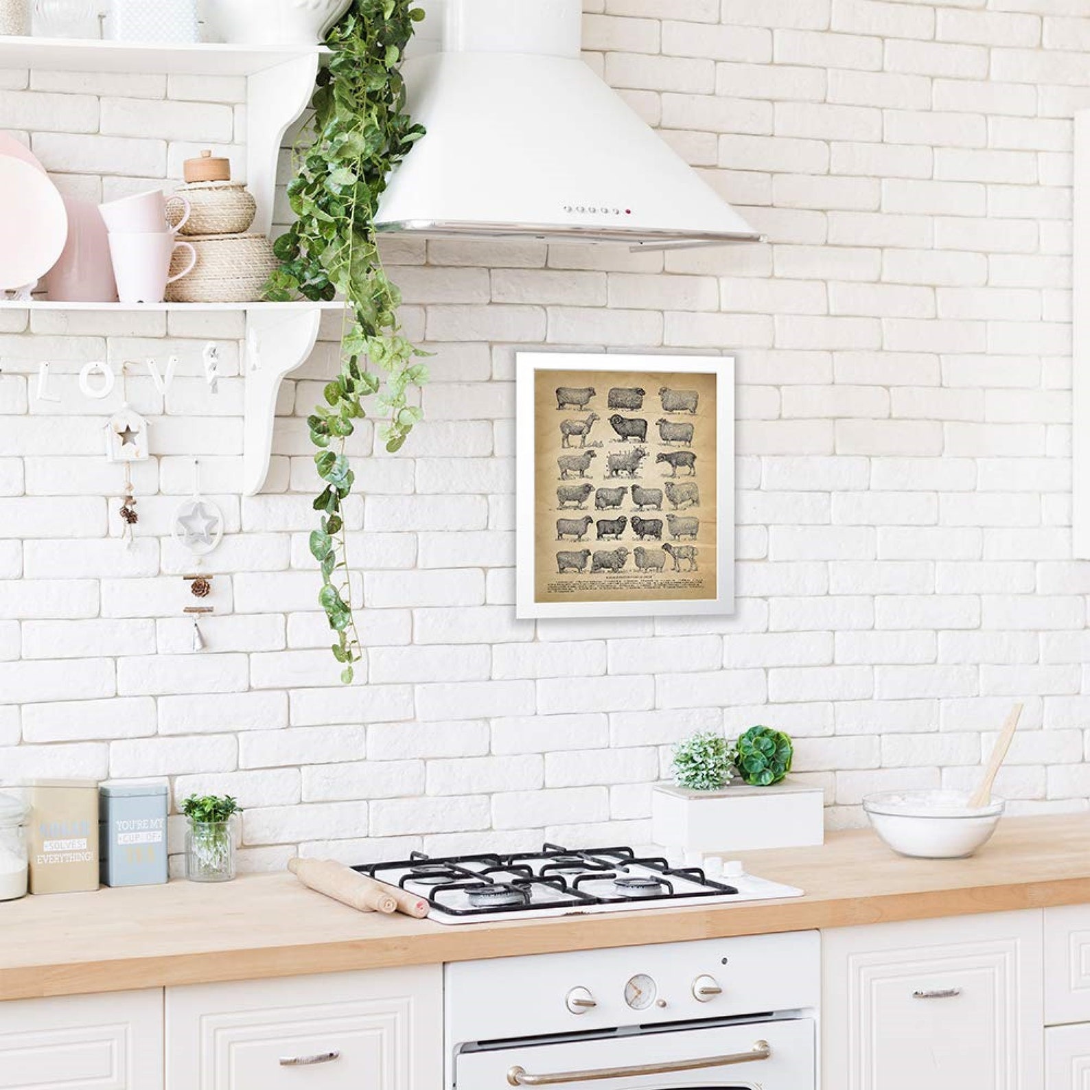 Sheep Breeds Poster Types of Sheep Sheep Poster Antique - Etsy Canada