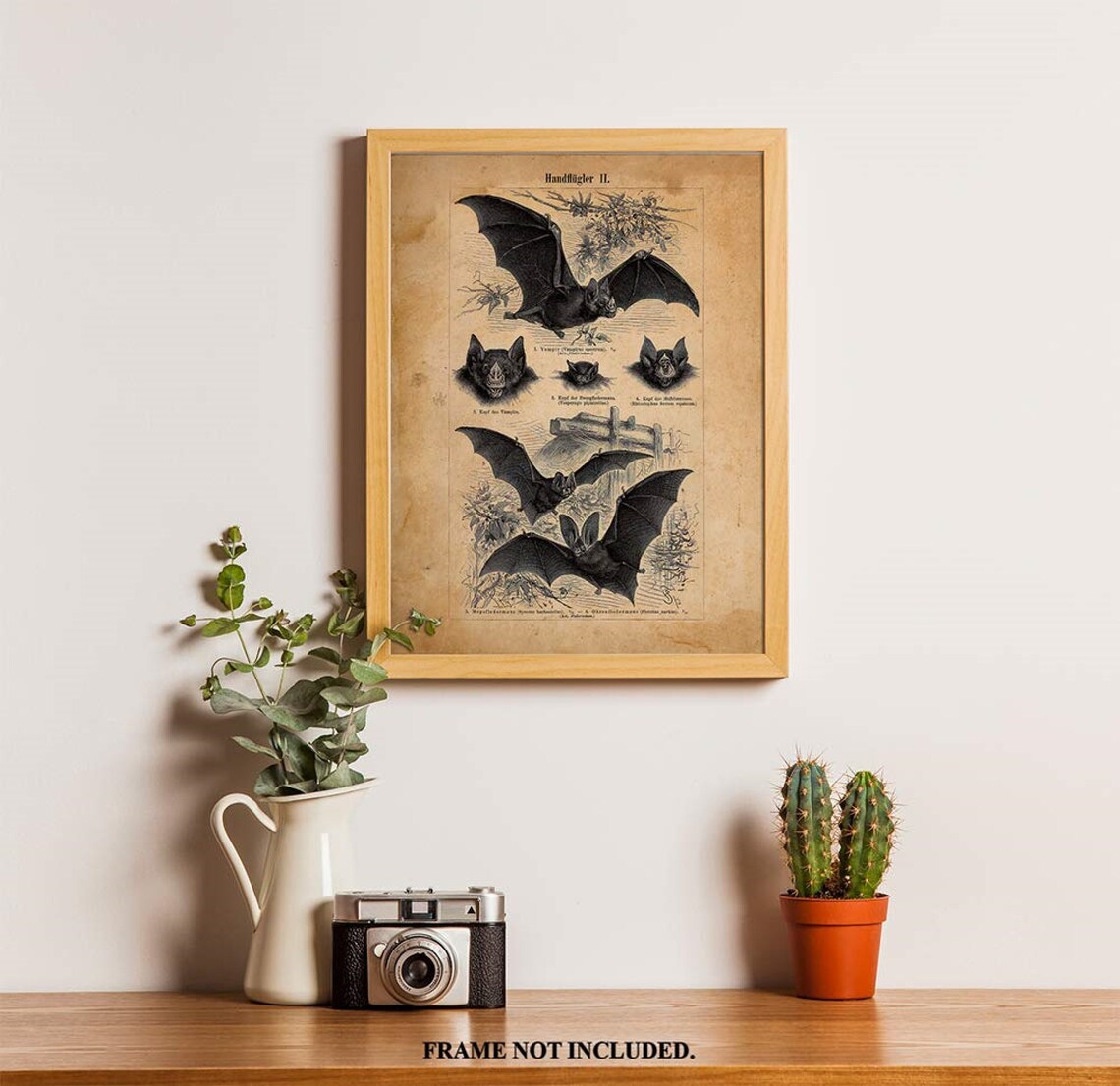 Bat Art Print Bat Artwork Bat Poster Bat Lover Art Bat - Etsy