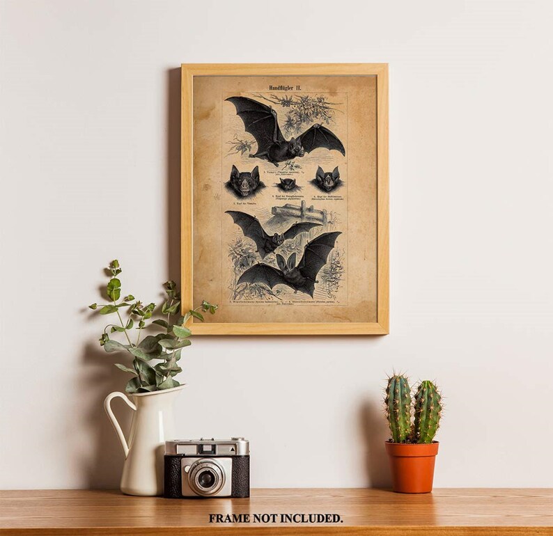 Bat Art Print Bat Artwork Bat Poster Bat Lover Art Bat - Etsy