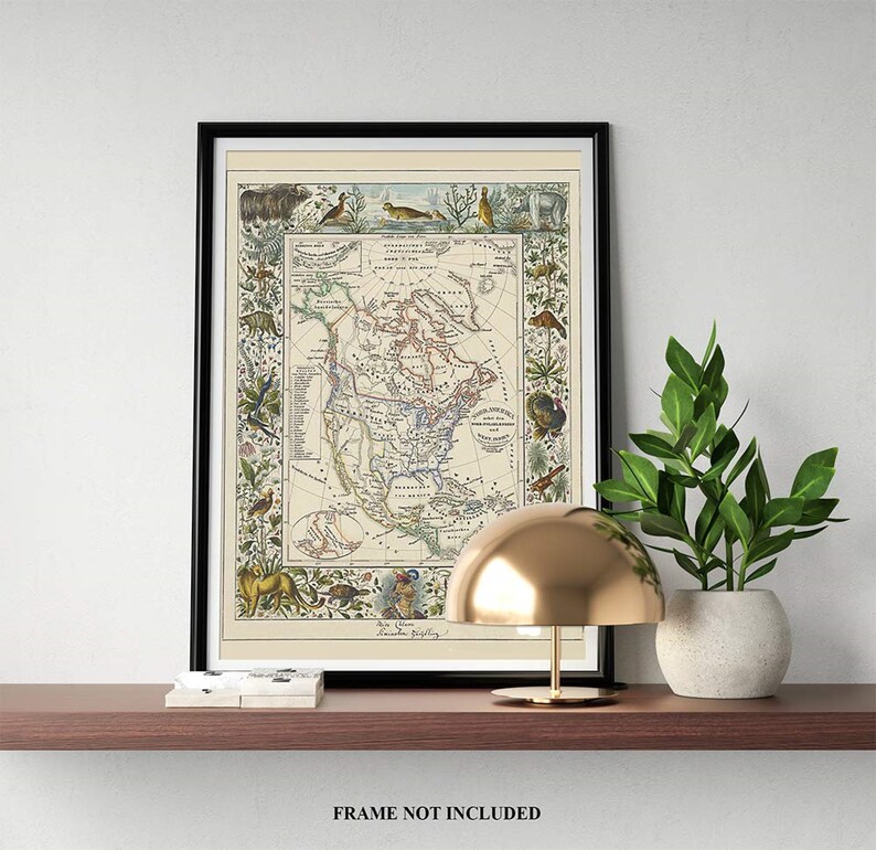 North America Map USA Map Art NA Poster Map America | Etsy