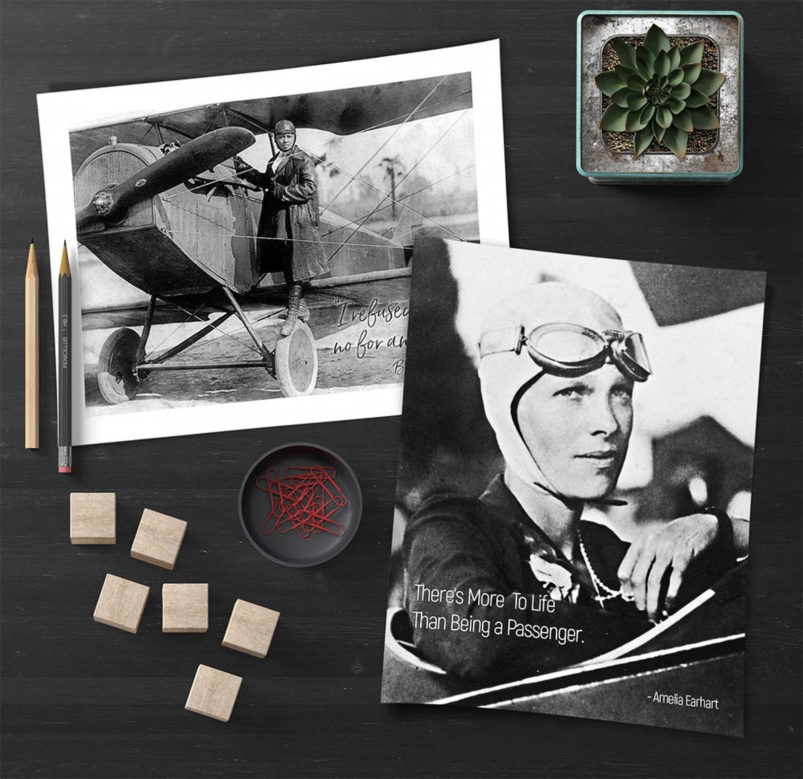 Amelia Earhart Bessie Coleman Inspiring Women Female | Etsy