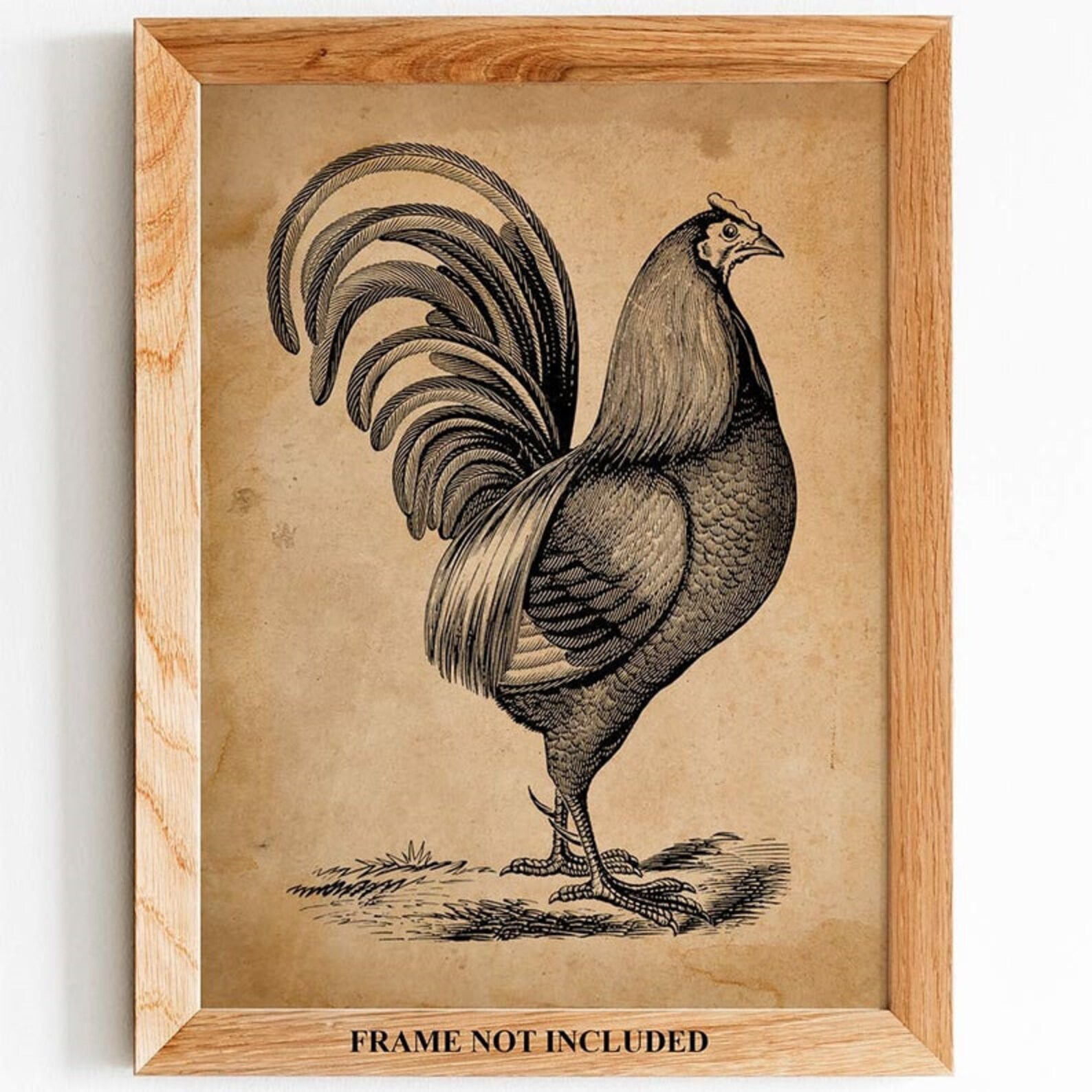 Rooster Poster Rooster Drawing Chicken Artwork Rooster | Etsy