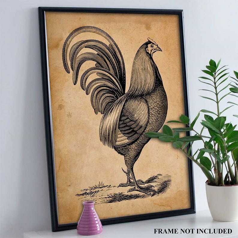 Rooster Poster Rooster Drawing Chicken Artwork Rooster - Etsy