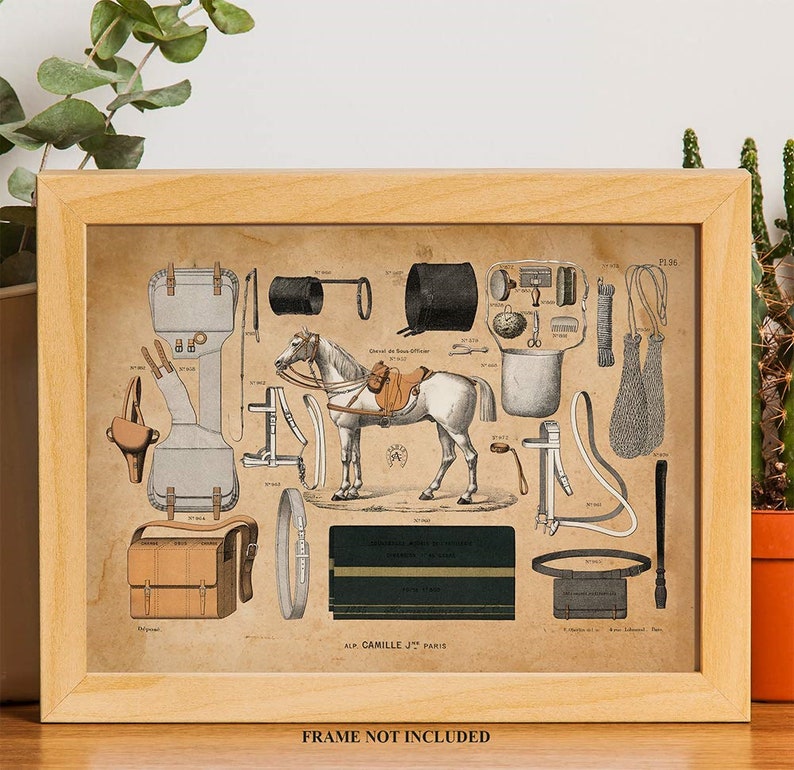 Equestrian Decor Antique Advertising Horse Equipment Horseback Riding ...