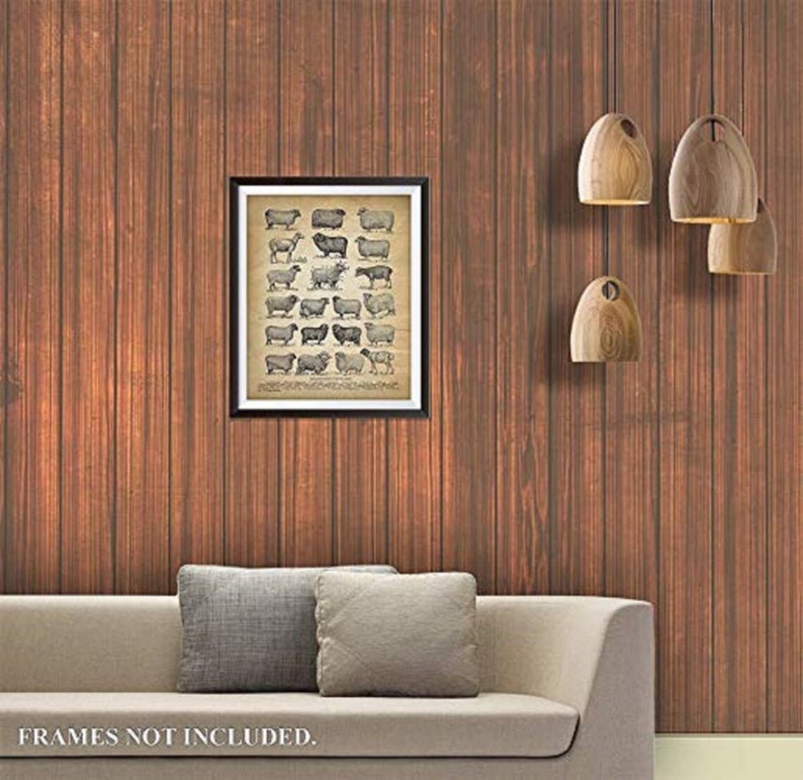 Sheep Breeds Poster Types of Sheep Sheep Poster Antique - Etsy Canada