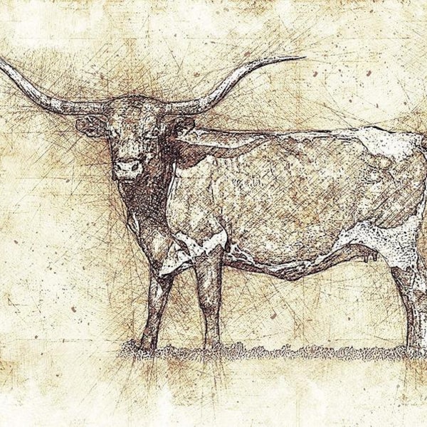 Longhorn Cattle - Etsy