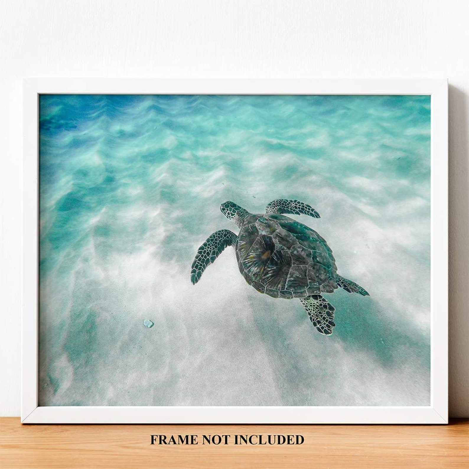 Sea Turtle Photo Turtle Photography Sea Turtle Poster Turtle Art Print ...