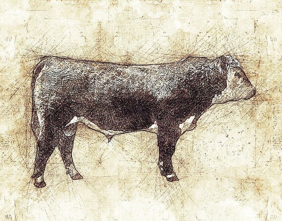 Cow Wall Art Farm Animal Print Hereford Bull Art | Etsy